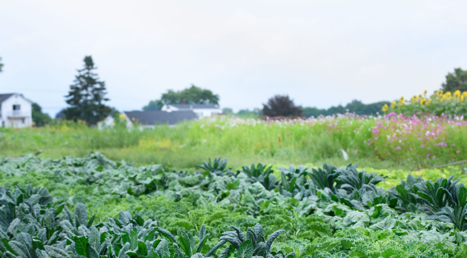New England Food Vision Prize - Henry P. Kendall Foundation