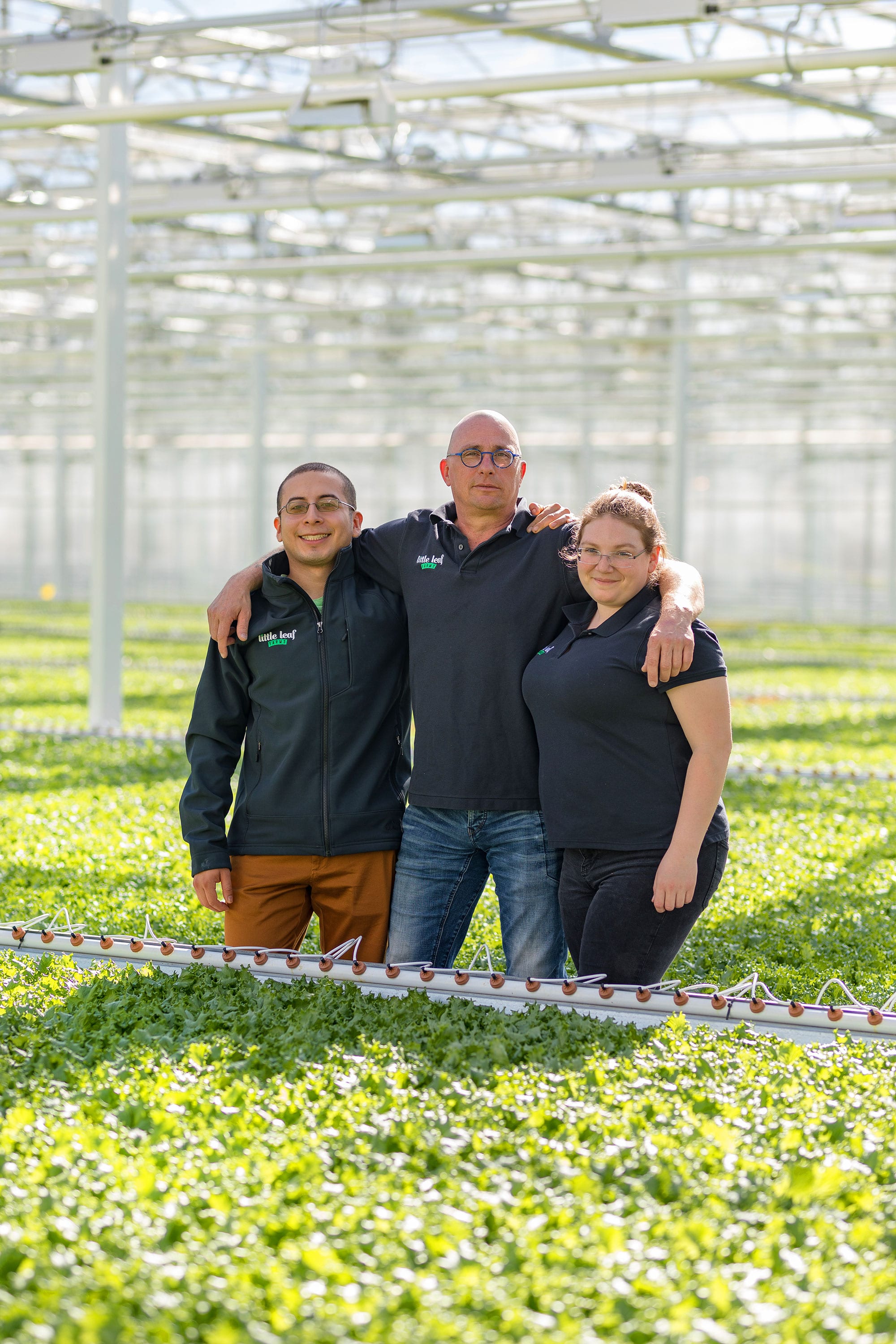 Lettuce Keep Greens Local - Henry P. Kendall Foundation